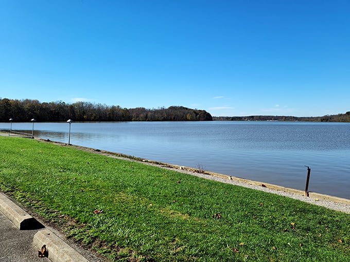 Nature's infinity pool stretches to the horizon, proving Ohio doesn't need mountains to take your breath away.
