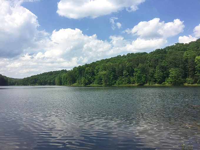 When the lake stretches this perfectly toward forested hills, you understand why postcards were invented.