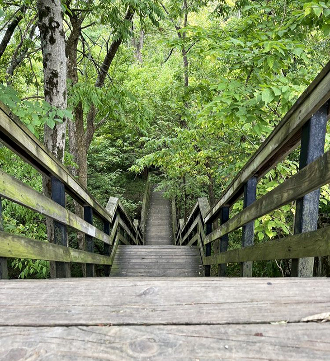 The stairway to serenity. Each step down takes you further from traffic jams and closer to nature's ultimate stress reliever.