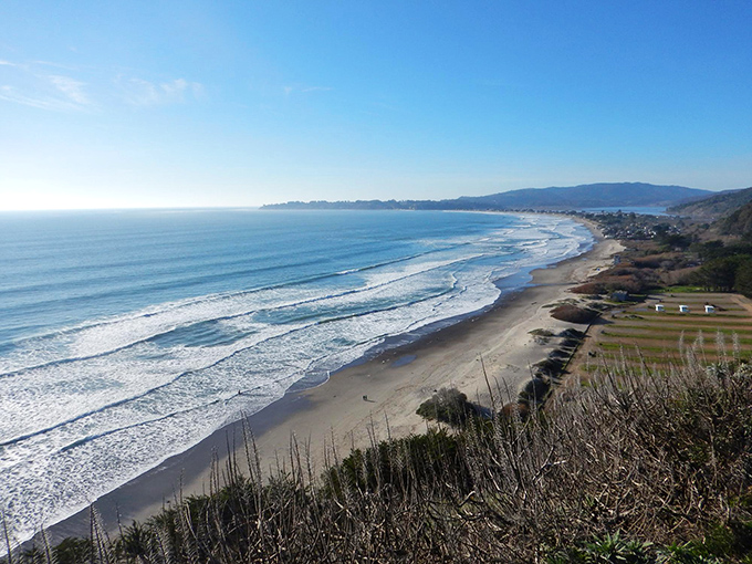 From above, Stinson Beach reveals its perfect horseshoe curve, where homes nestle between mountains and sea like they've found the sweet spot in California's real estate lottery.