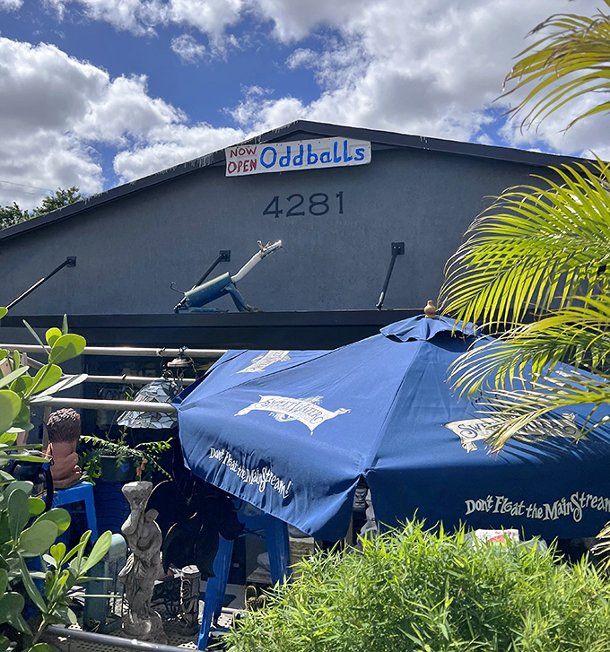 That "NOW OPEN" sign has been there for years, but in thrift store time, everything is always new to someone.