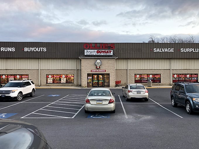 The unassuming storefront hides a treasure trove within. Like finding a secret passage in your favorite childhood book, the adventure begins here.