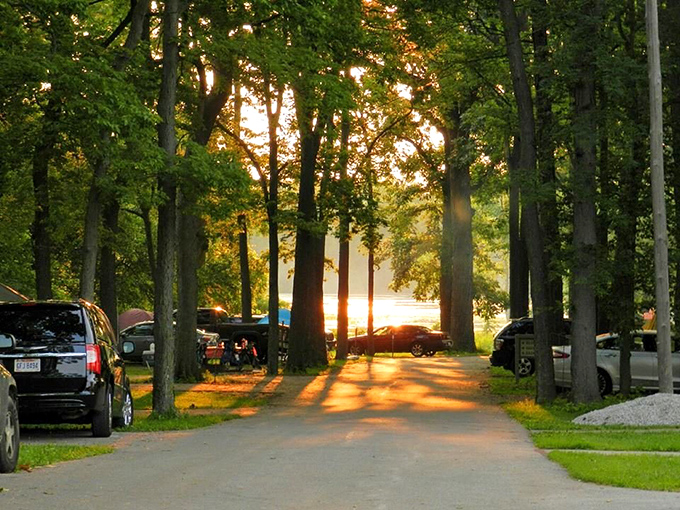 Golden hour magic filters through the trees at the campground. That moment when you realize your camping spot rivals five-star accommodations&mdash;just with better views.