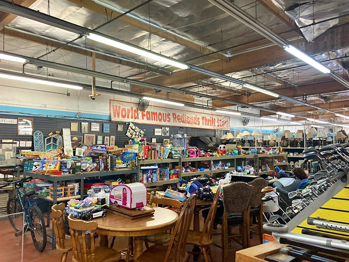 Self-proclaimed "World Famous" with tongue firmly in cheek, yet the treasures within make the claim strangely credible. Organized chaos at its finest.