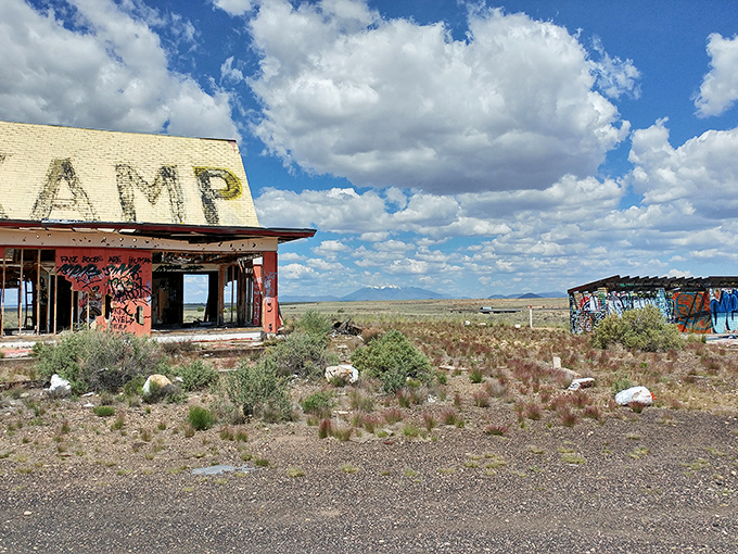 When Mother Nature becomes the ultimate interior decorator, even ruins look like they belong in Architectural Digest.