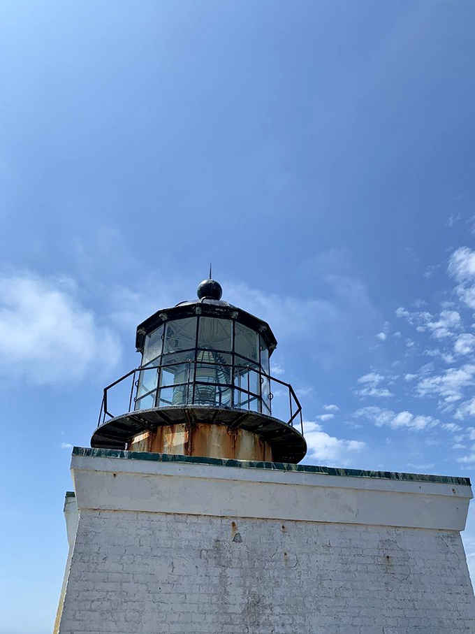 The lighthouse's weathered crown catches the perfect California blue, its glass and metal telling stories of storms survived and ships saved.