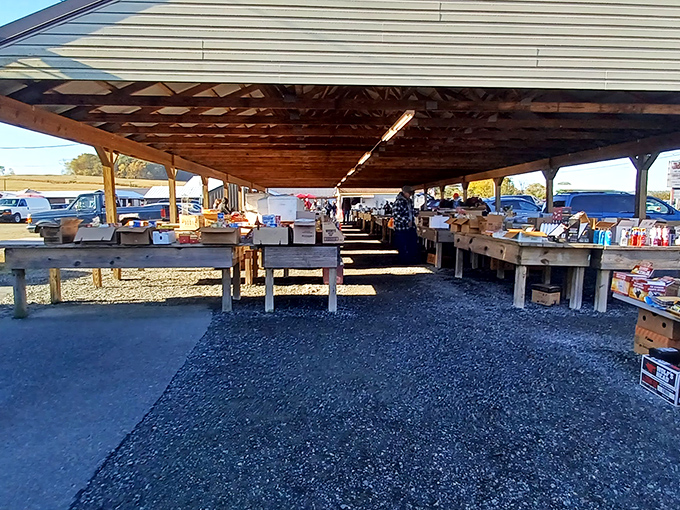 Under rustic wooden pavilions, vendors arrange their wares with the precision of museum curators, waiting for the right eyes to spot value.