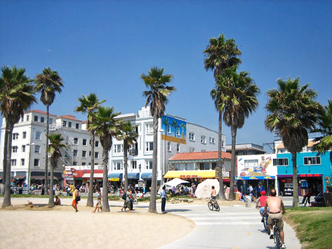 Venice Boardwalk: where palm trees stand guard over a parade of humanity that would make a casting director's head spin.