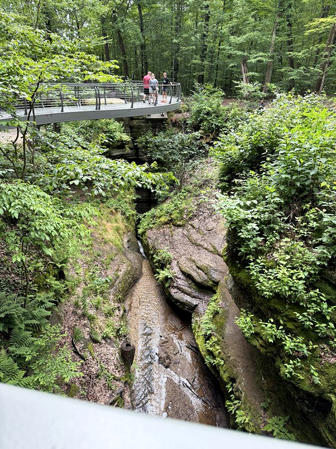 The modern bridge offers a stark contrast to the primeval landscape below. Visitors get a bird's-eye view of geological wonders millions of years in the making.