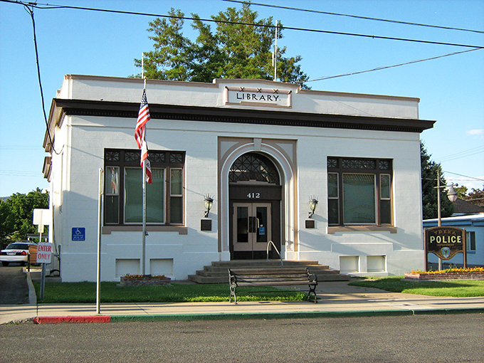 Carnegie knew how to build libraries that last - this beauty still serves books and community pride.