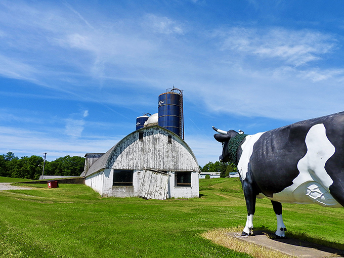 Rural Americana at its finest&mdash;the classic white barn provides the perfect backdrop for this oversized Holstein, like a Norman Rockwell painting gone wonderfully weird.