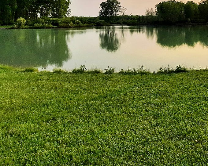 Mirror, mirror on the land&mdash;this tranquil pond reflects the surrounding greenery like nature's own Instagram filter. No photoshop required. 
