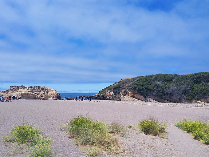 Beach day perfection without the crowds. This hidden sandy cove offers all the California coastal magic minus the tourist-packed towel territory.