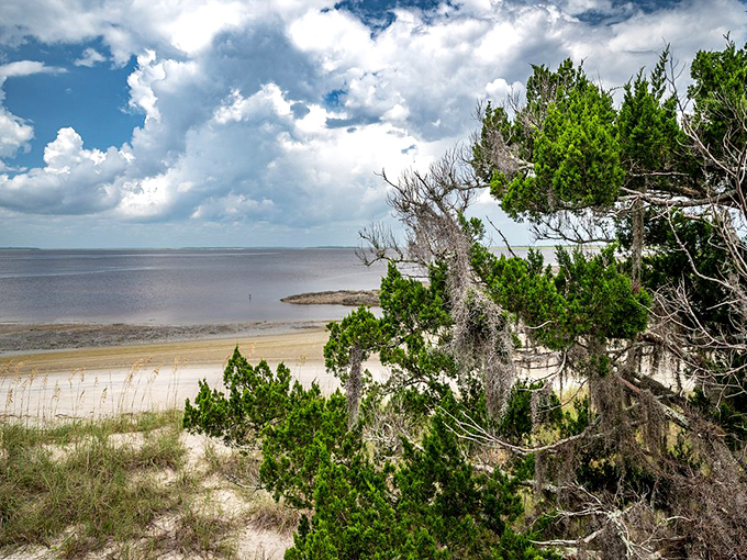 Spanish moss drapes like nature's tinsel over maritime forest meeting shoreline. This isn't just a beach&mdash;it's Georgia's coastal soul laid bare.