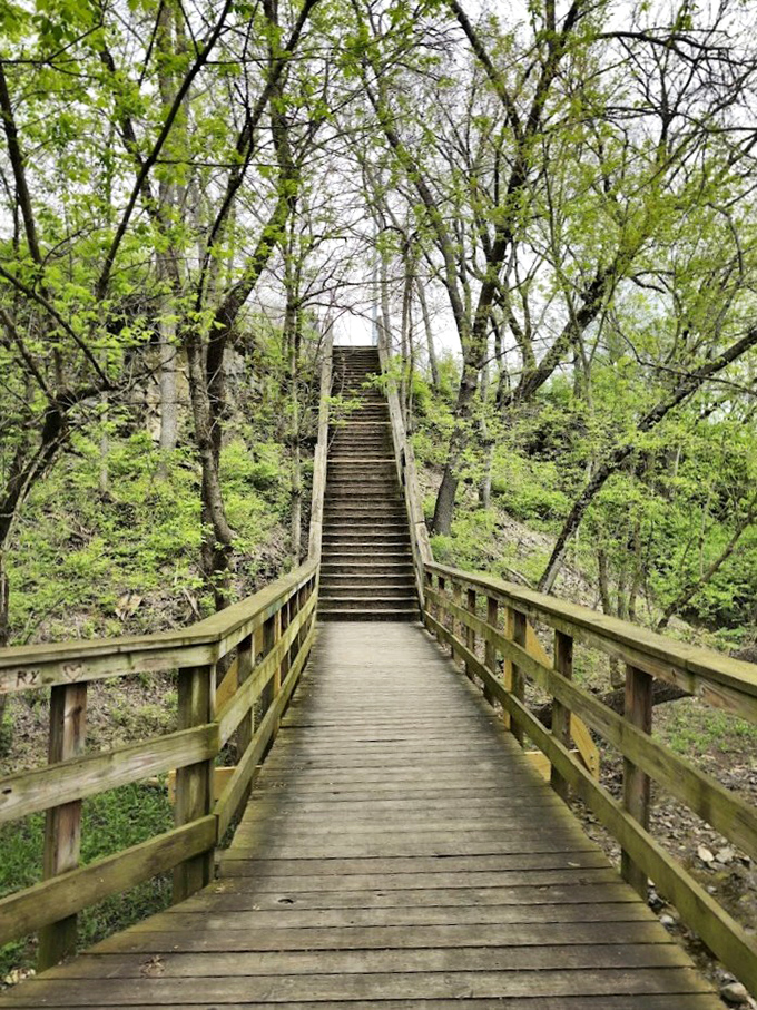 The journey is half the adventure. This wooden boardwalk invites visitors into a hidden world, where each step takes you further from civilization and closer to natural wonder.