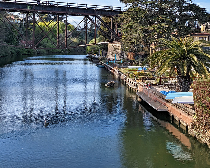 Soquel Creek flows peacefully under the historic trestle bridge, offering kayakers a serene escape from beach crowds.
