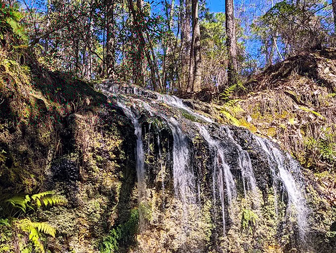 Water dancing over ancient limestone &ndash; this gentle cascade might look modest, but it's part of a geological performance that's been running for thousands of years.