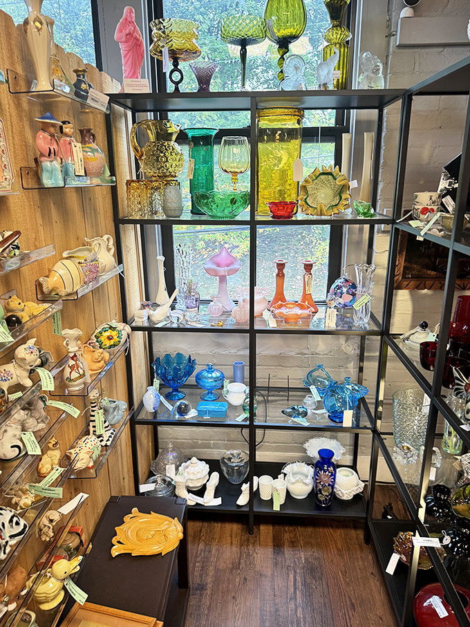 Colorful vintage glassware catches the light, creating a kaleidoscope effect that would make your grandmother's china cabinet jealous.