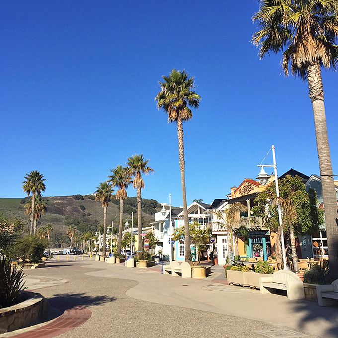 Palm trees standing tall like nature's exclamation points along Avila's promenade. This is what happens when small-town charm meets vacation paradise.