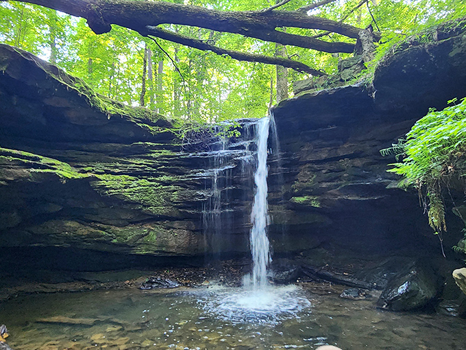 Standing in this natural amphitheater feels like discovering a secret cathedral where water has been the patient architect for millennia. 