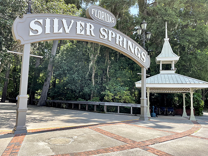 The iconic Silver Springs entrance arch &ndash; Florida's version of "Open Sesame" to a world where crystal waters replace the daily grind. 