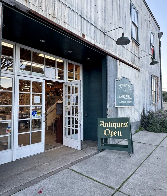 Antiques Open might be the most dangerous two-word combination for your wallet. This unassuming entrance leads to hours of delightful time travel.