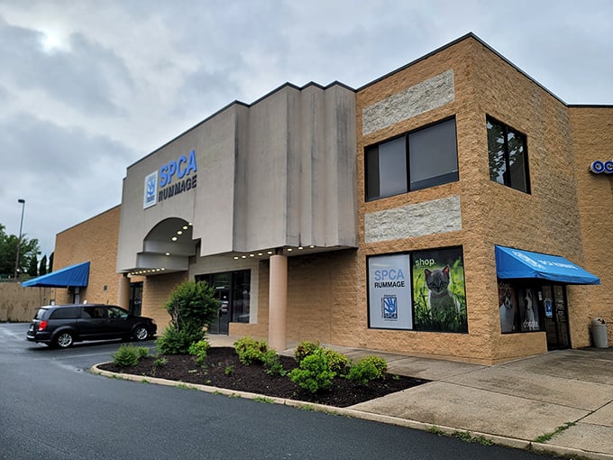 Rain or shine, this thrift paradise beckons bargain hunters with its bright blue awnings and promise of guilt-free retail therapy.