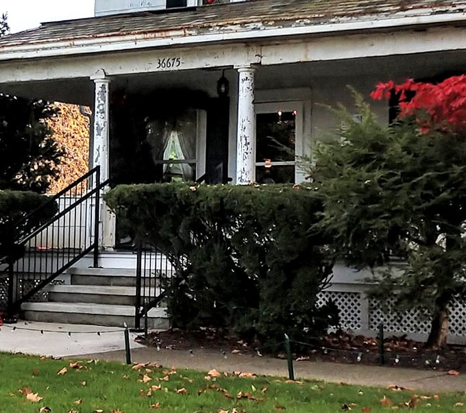 Those weathered columns and worn steps have welcomed generations of treasure hunters, each leaving with stories tucked under their arms alongside their finds.