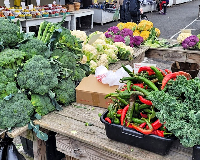 Nature's color palette on full display. Lancaster County's famous fertile soil produces vibrant vegetables that make grocery store produce look like it's been photocopied one too many times.