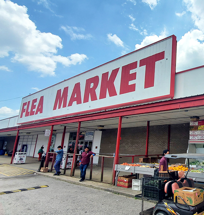 That iconic red-trimmed sign promises adventure within&mdash;like the entrance to a theme park where the rides are replaced by bargains.