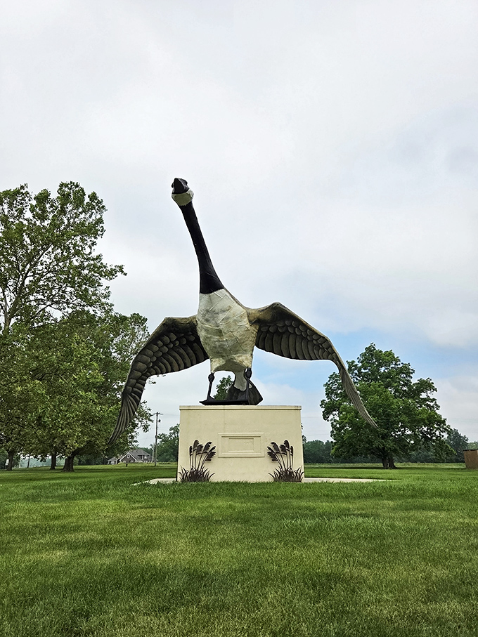 Front and center with wings outstretched, Maxie commands attention from every angle. She's not just big&mdash;she's monumentally impressive.