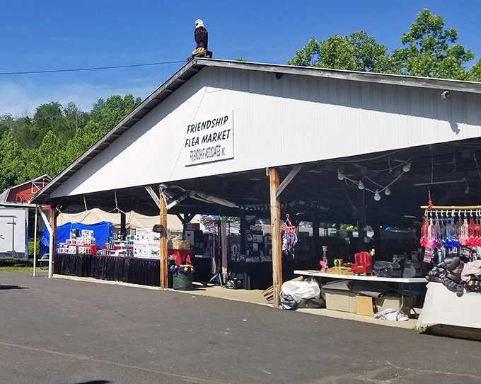 The unassuming headquarters of bargain paradise. That eagle perched on top isn't just decoration&mdash;he's scanning for shoppers who forgot to bring cash.