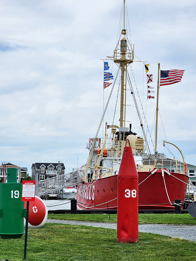 Maritime sentinels never looked so good! The Overfalls' striking red hull and navigational buoys create a nautical tableau that's both historical landmark and Instagram gold.