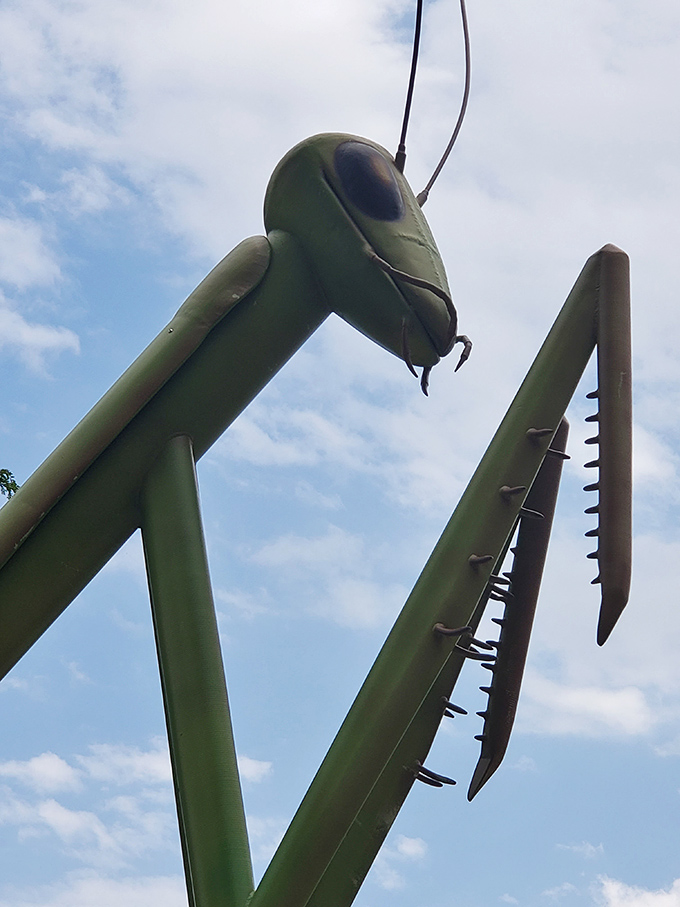 Up close and personal with KokoMantis's head&mdash;those compound eyes seem to follow you around the plaza like the Mona Lisa of insects.