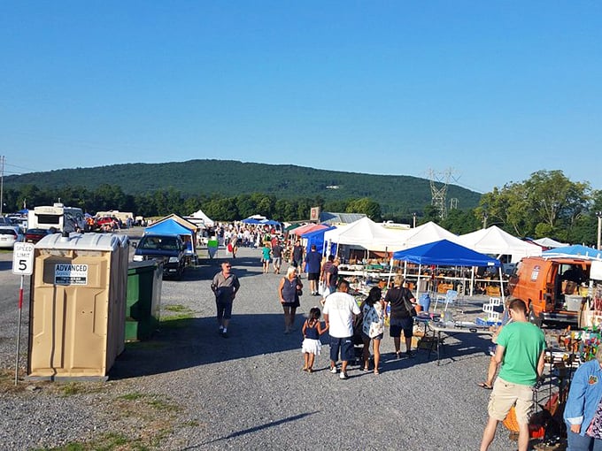 The treasure hunt begins! Families stroll through rows of colorful tents and tables, where $40 might just fill your trunk with unexpected finds.