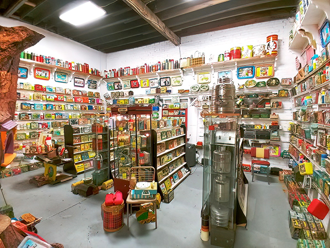 Wall-to-wall treasures create a kaleidoscope of pop culture history. Every shelf tells stories of Saturday morning cartoons and cafeteria trades.