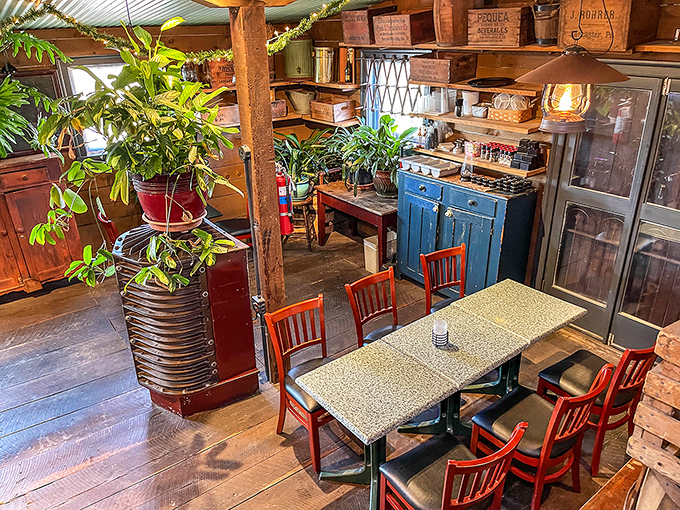 This isn't just a dining room—it's a time capsule with plants. Vintage wooden shelving and that blue cabinet could tell stories that would make your craft beer jealous.