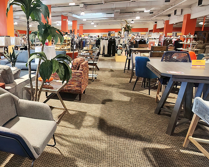 Not your grandmother's cluttered thrift shop! Revivals' spacious interior features thoughtful displays, potted plants, and enough breathing room to actually enjoy the hunt.