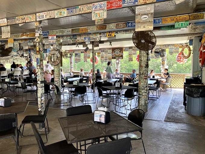 License plates from across America create a patchwork autobiography on the walls. Each one tells a story of someone who found their way here.