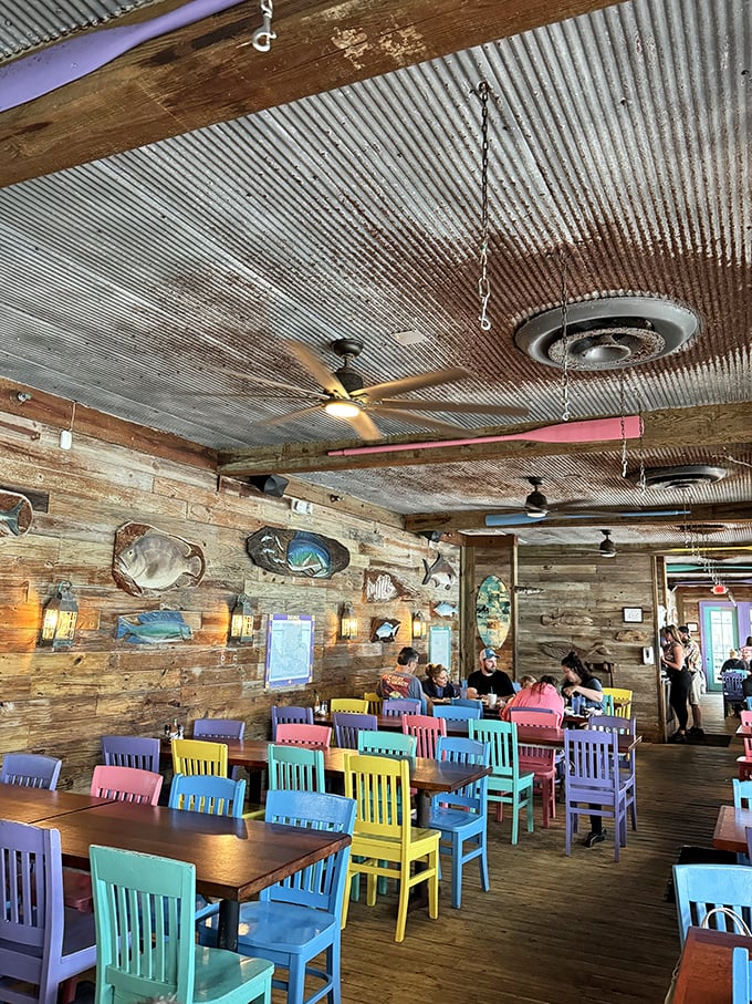 Rainbow-colored chairs that would make a box of crayons jealous populate the rustic interior, where mounted fish silently judge your menu choices.
