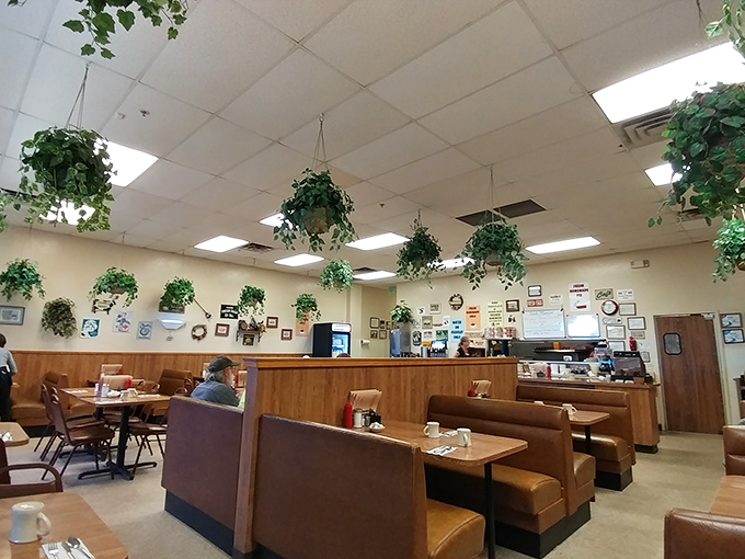 Hanging plants and cozy booths create the perfect atmosphere for lingering over legendary comfort food.