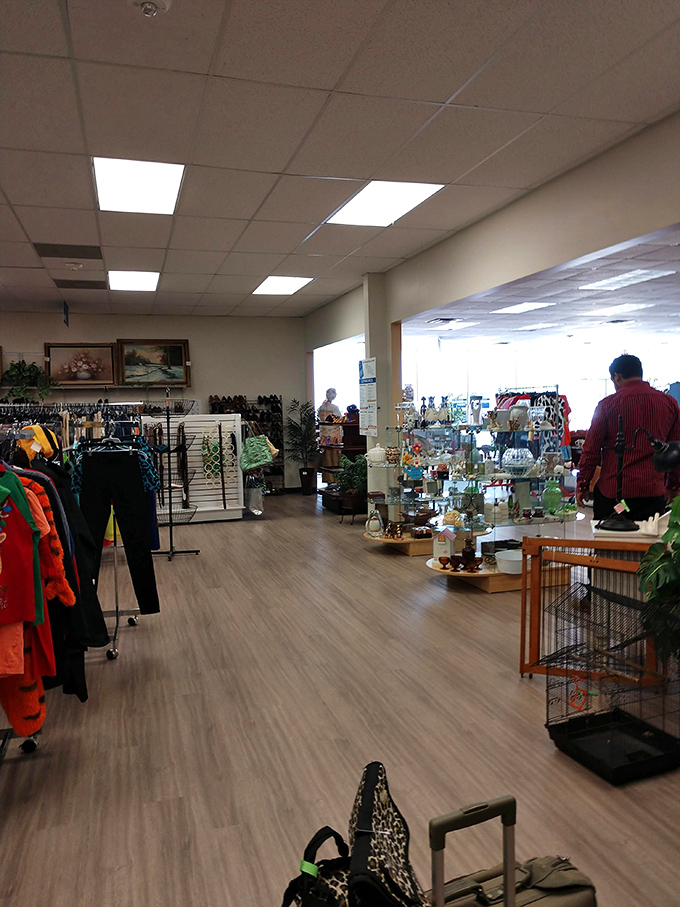 Step inside and the adventure begins. Racks of possibility stretch before you, promising discoveries that'll have friends asking, "You paid HOW little for that?"