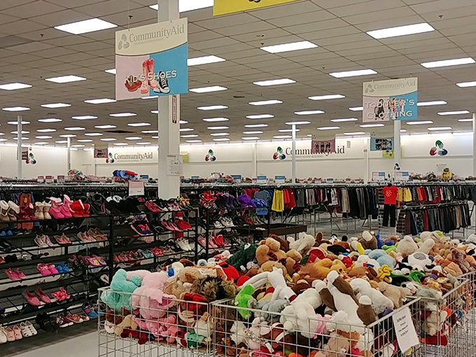 Welcome to the bargain hunter's paradise! Rows of colorful clothing and a mountain of stuffed animals await their second chance at bringing joy.