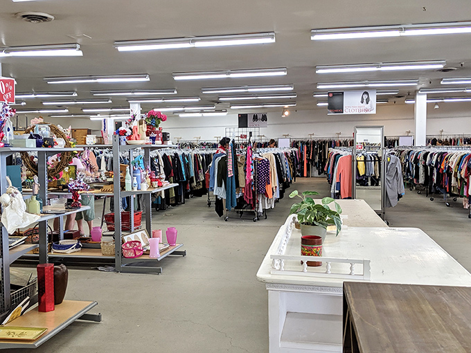 A sea of possibilities stretches before you. Racks upon racks of clothing tell stories of past lives while promising new adventures for budget-conscious fashionistas.