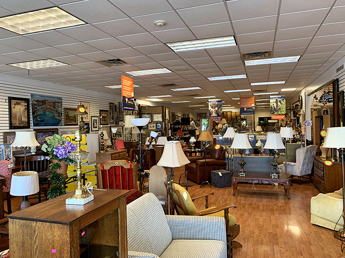 A lamp collector's dream come true &ndash; this furniture section features enough lighting options to brighten anyone's decorating dilemmas.