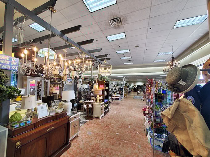 Step inside and the hunt begins. Every aisle promises discovery, every corner holds potential for that perfect find you didn't know you needed.