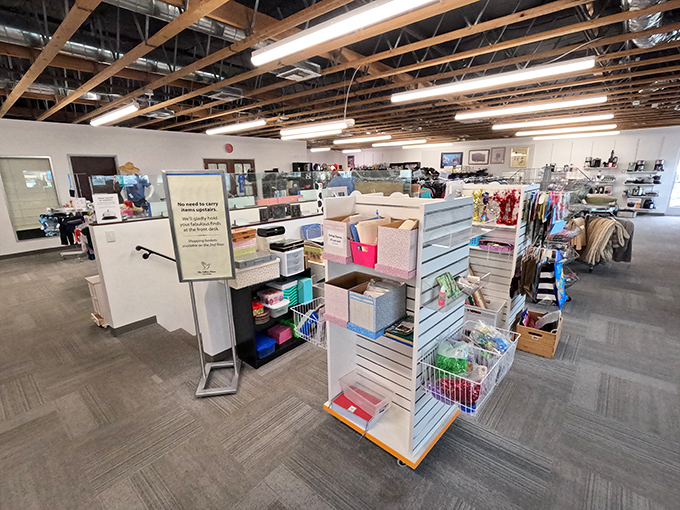 Organization meets abundance in this well-planned interior, where every aisle promises the thrill of the unexpected find.