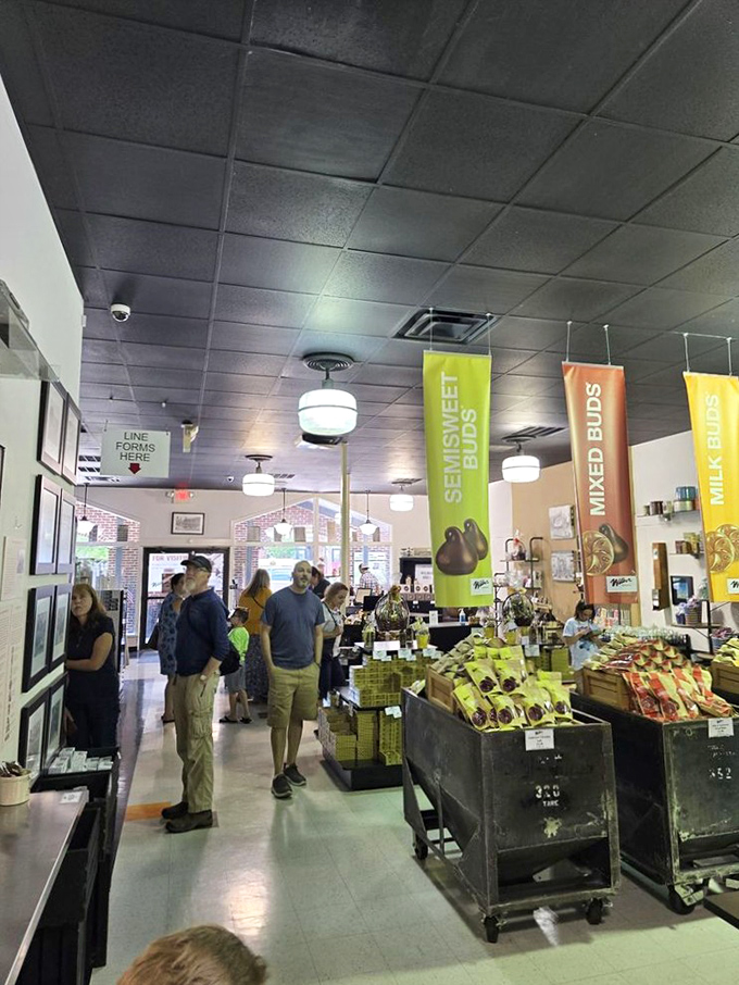 Inside, colorful banners announce chocolate varieties like carnival barkers at the world's most delicious fair. "Step right up for your Semisweet Buds, folks!"