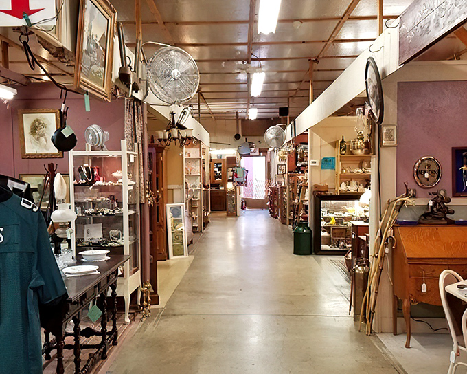Long, inviting corridors lined with vendor booths create that perfect antique mall labyrinth where "just five minutes" mysteriously transforms into two hours. 