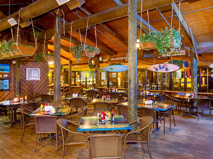 Surfboards on the ceiling, plants hanging from beams, and that warm wood glow—stepping inside feels like discovering the clubhouse of your dreams.